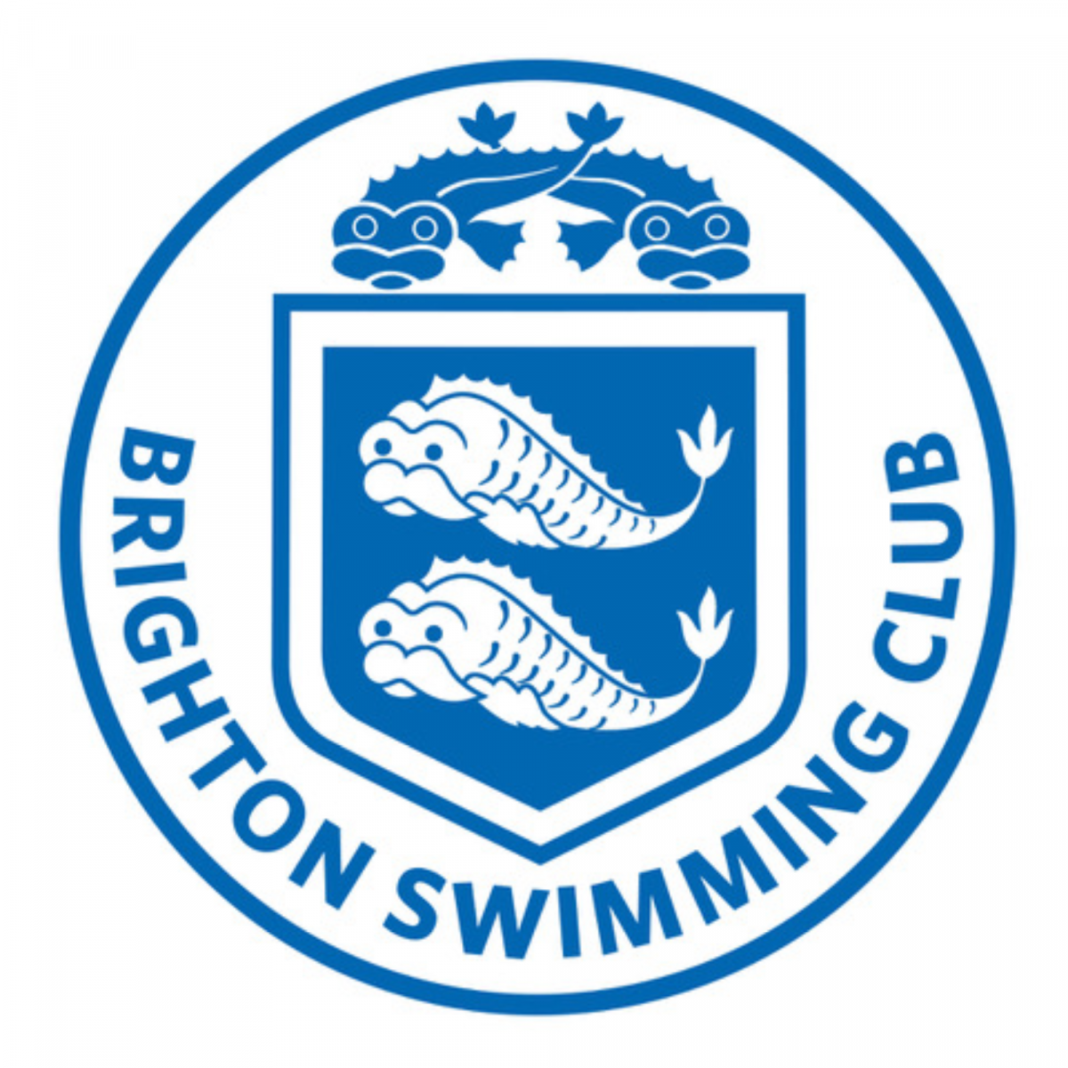 Brighton Swimming Club - Sea Lanes Brighton